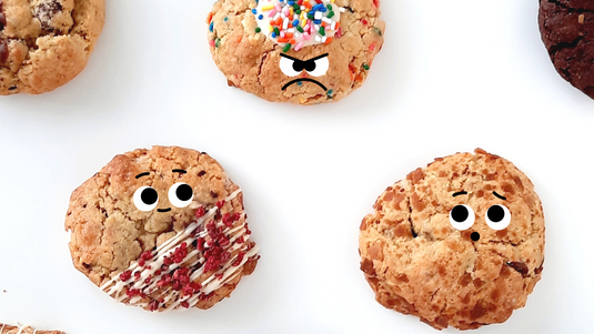 Koek & Kruimels - vegan cookies