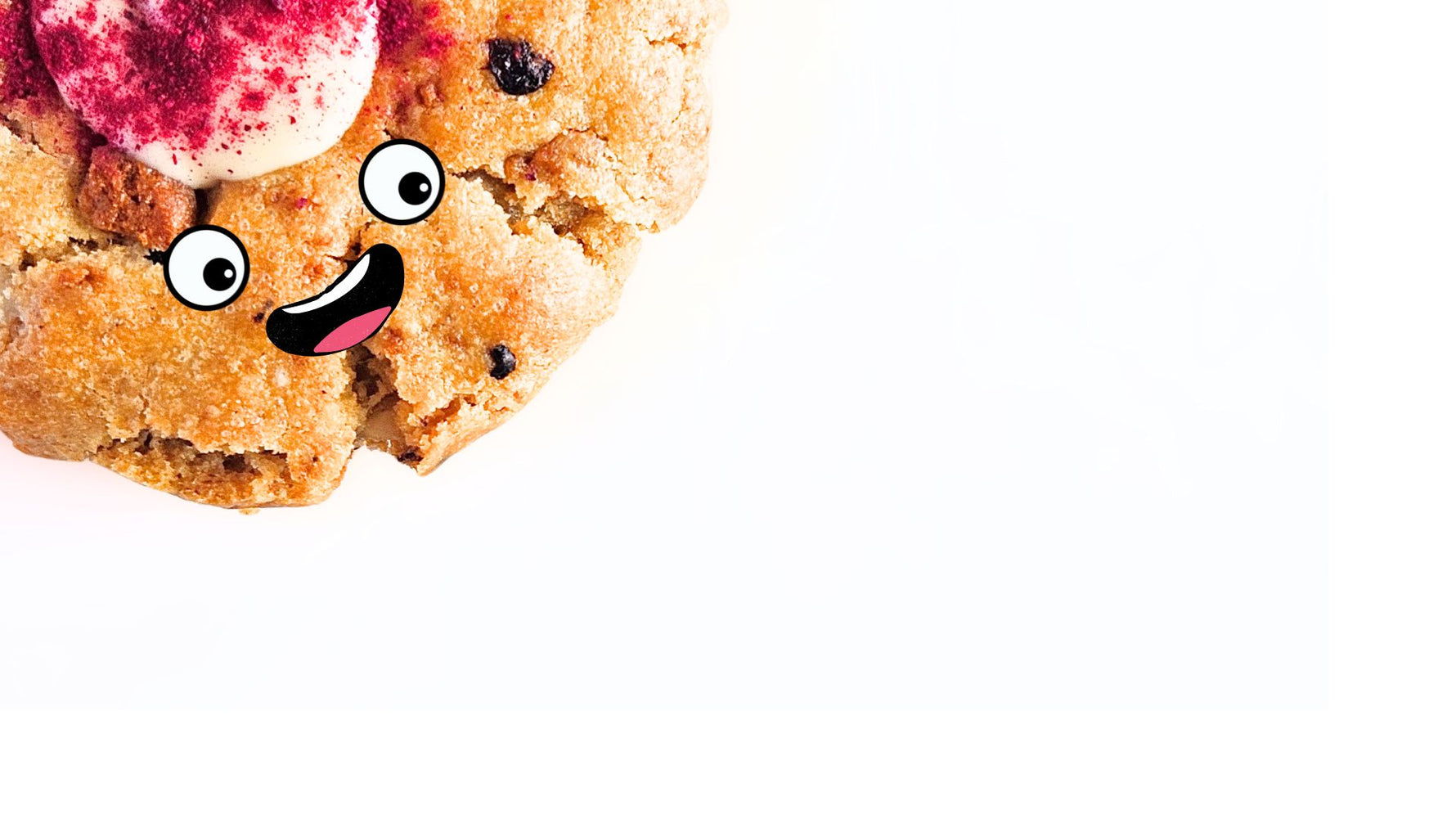 Koek & Kruimels - vegan cookies